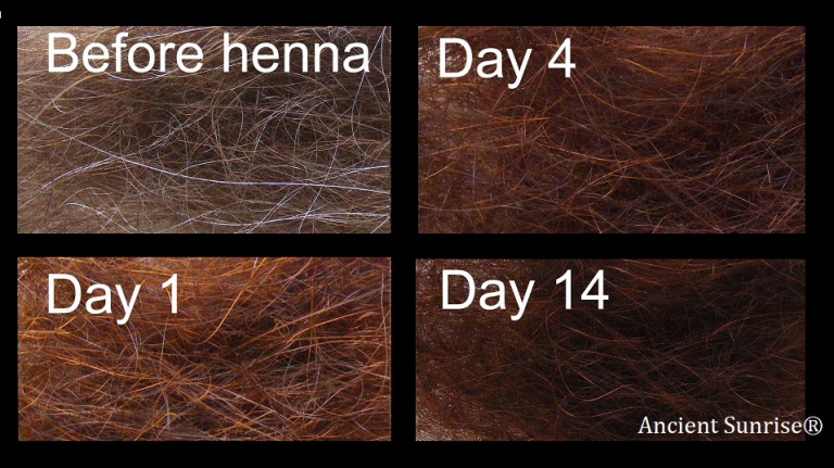 Why Henna Color Darkens and How to Prevent It