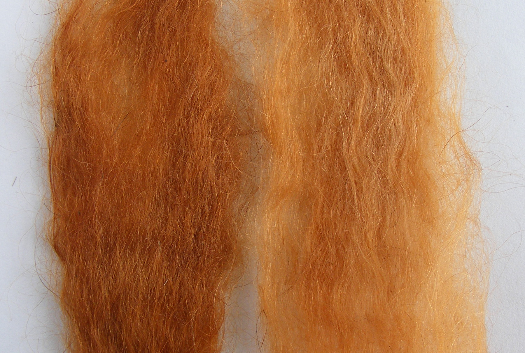 katam Archives - Ancient Sunrise