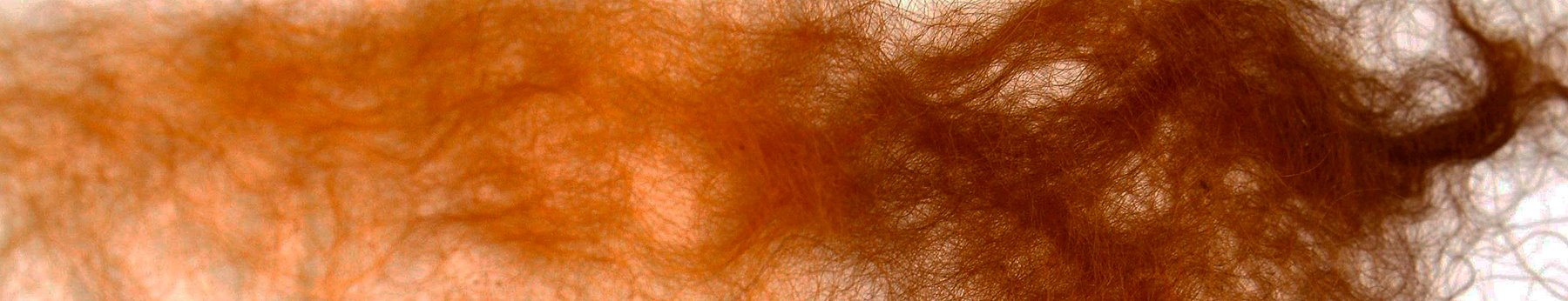 katam Archives - Ancient Sunrise