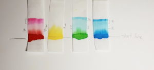 synthetic dyes Archives - Ancient Sunrise