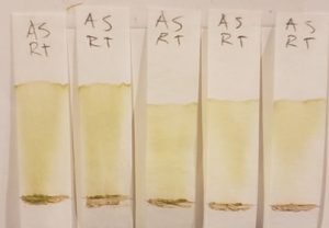 chromatography Archives - Ancient Sunrise